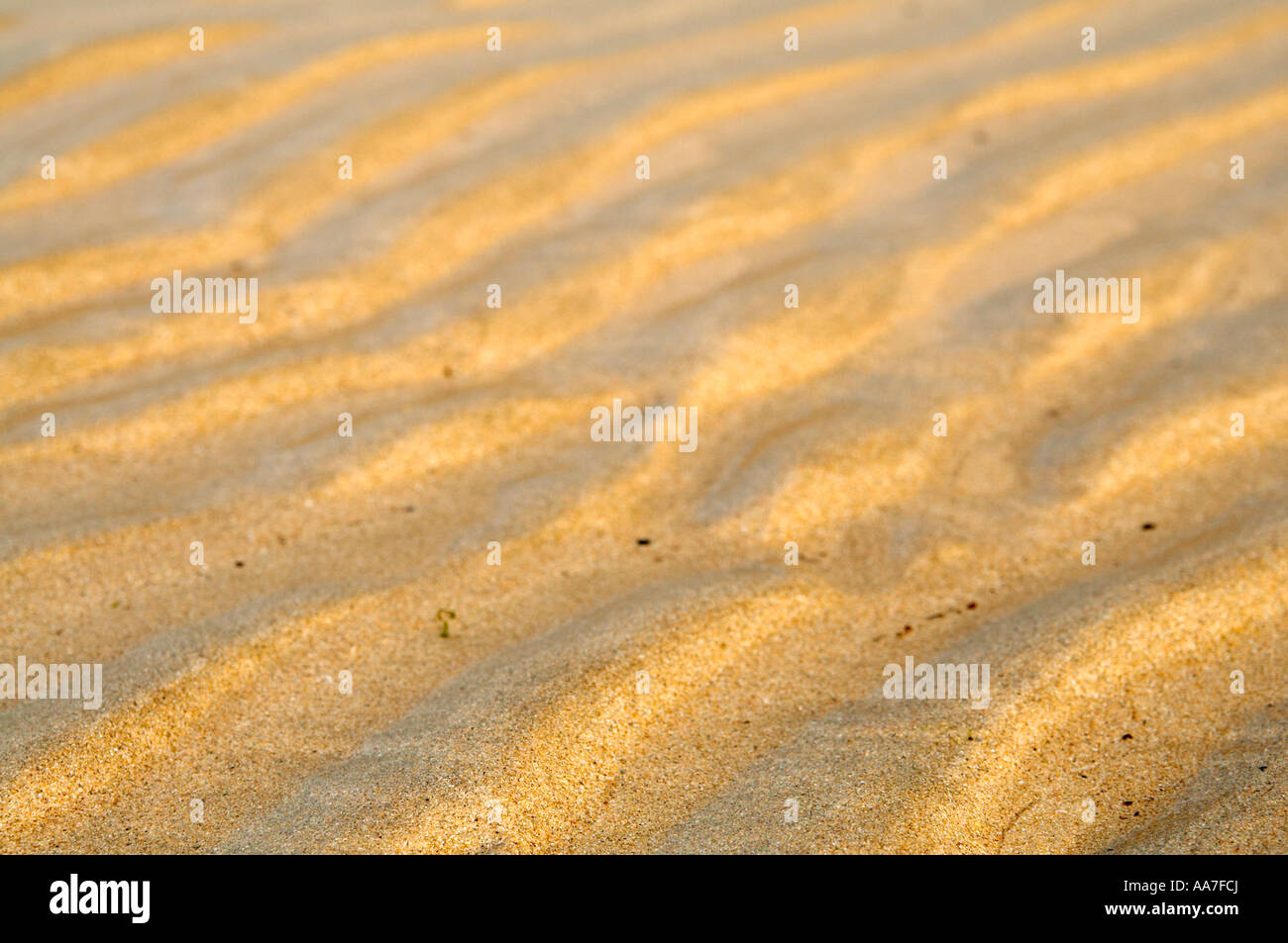 Wave patterns in the sand, UK Stock Photo - Alamy