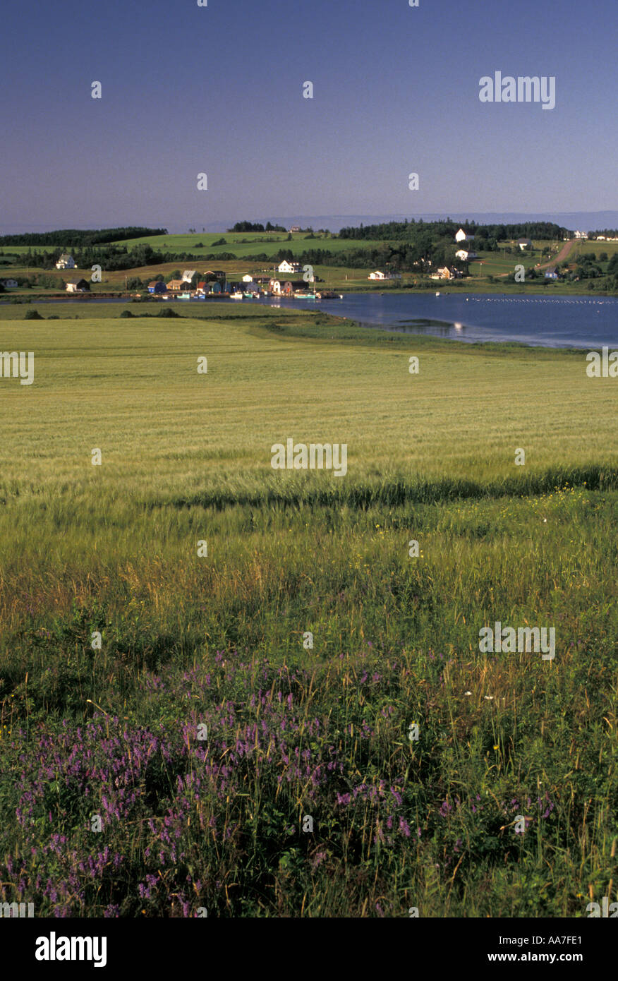 P e i hi-res stock photography and images - Alamy