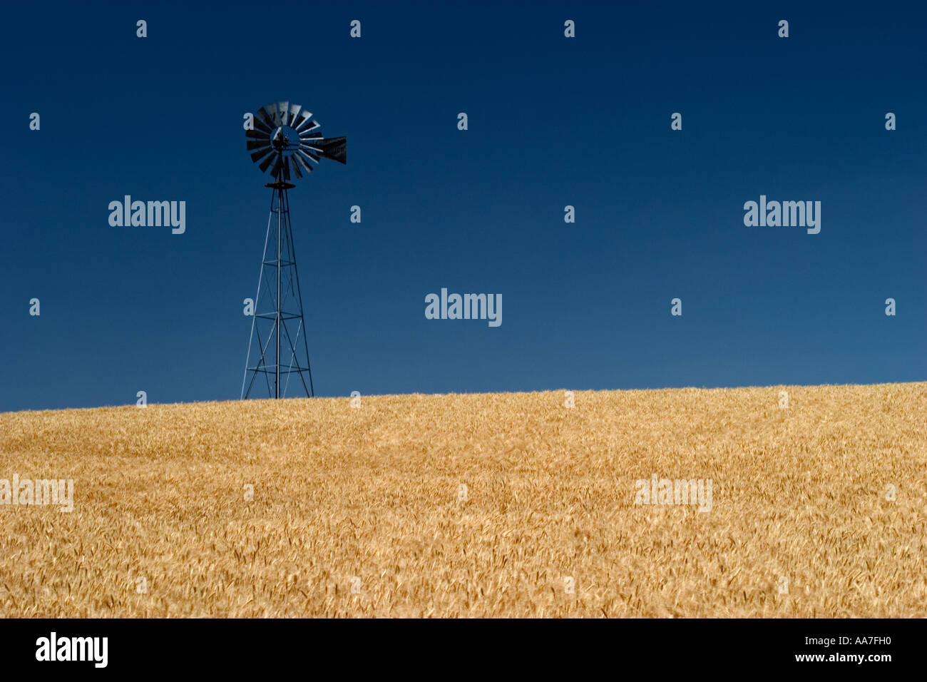 WHEAT FIELDS OF EASTERN WASHINGTON STATE Stock Photo - Alamy