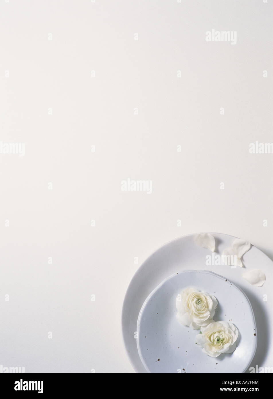 flower In vessel Stock Photo - Alamy