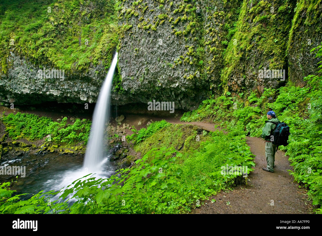Waterfall walk, trail Stock Photo - Alamy