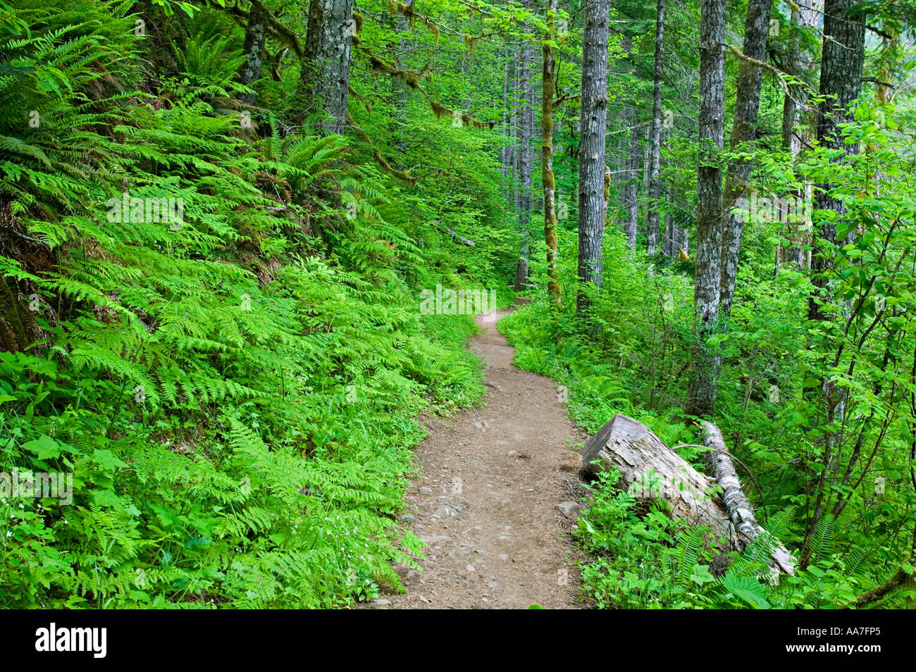 Pathway track hi-res stock photography and images - Alamy