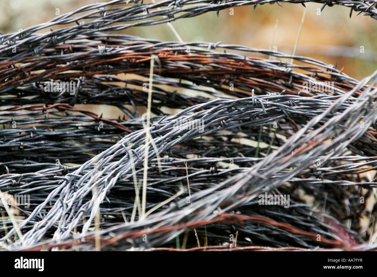 Barbed wire coils hi-res stock photography and images - Alamy