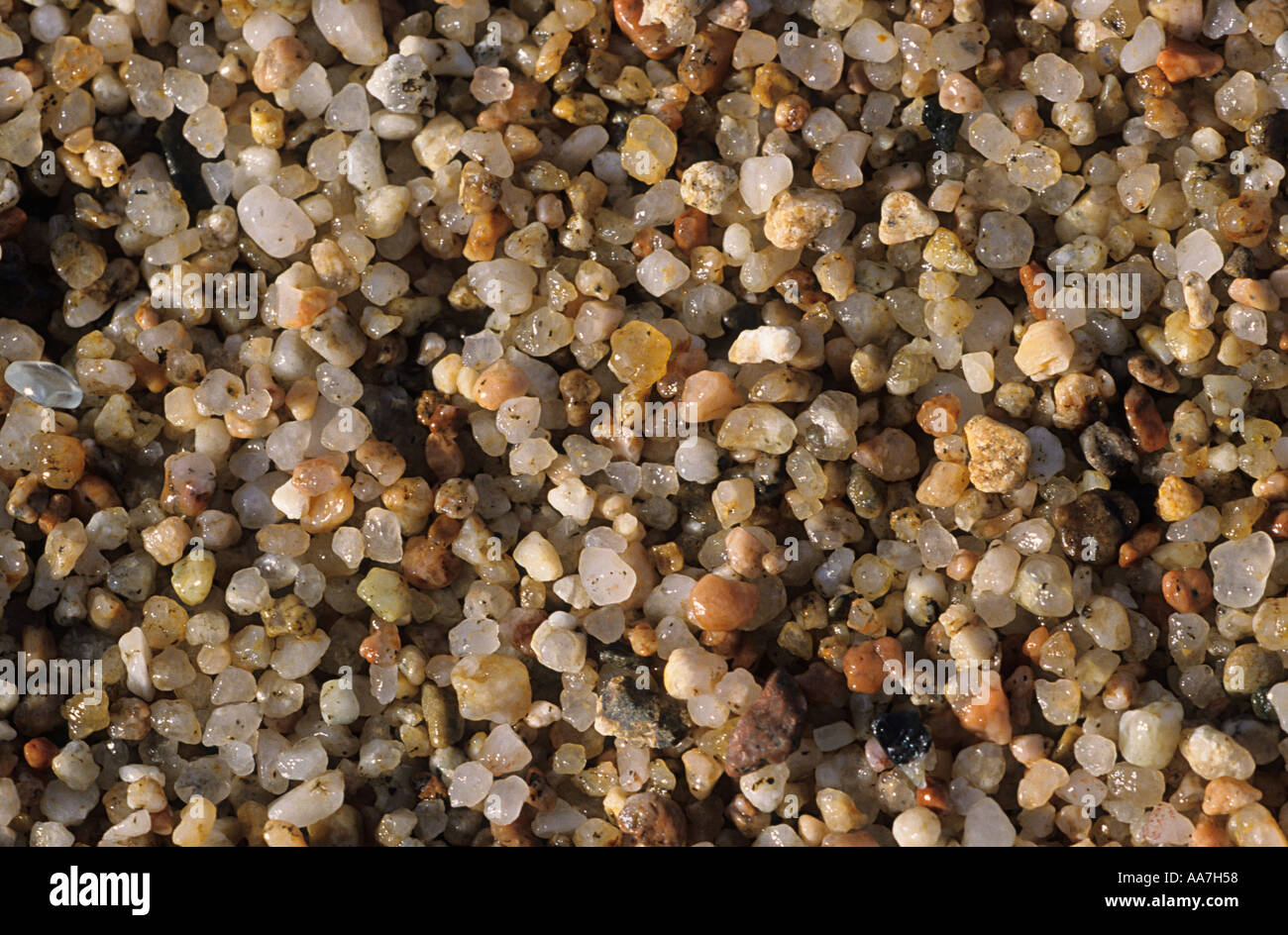 Sand grains hi-res stock photography and images - Alamy