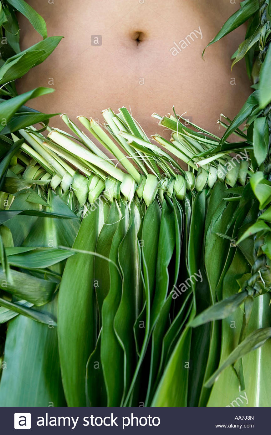 Hula Dancer Female Stock Photos & Hula Dancer Female Stock Images - Alamy