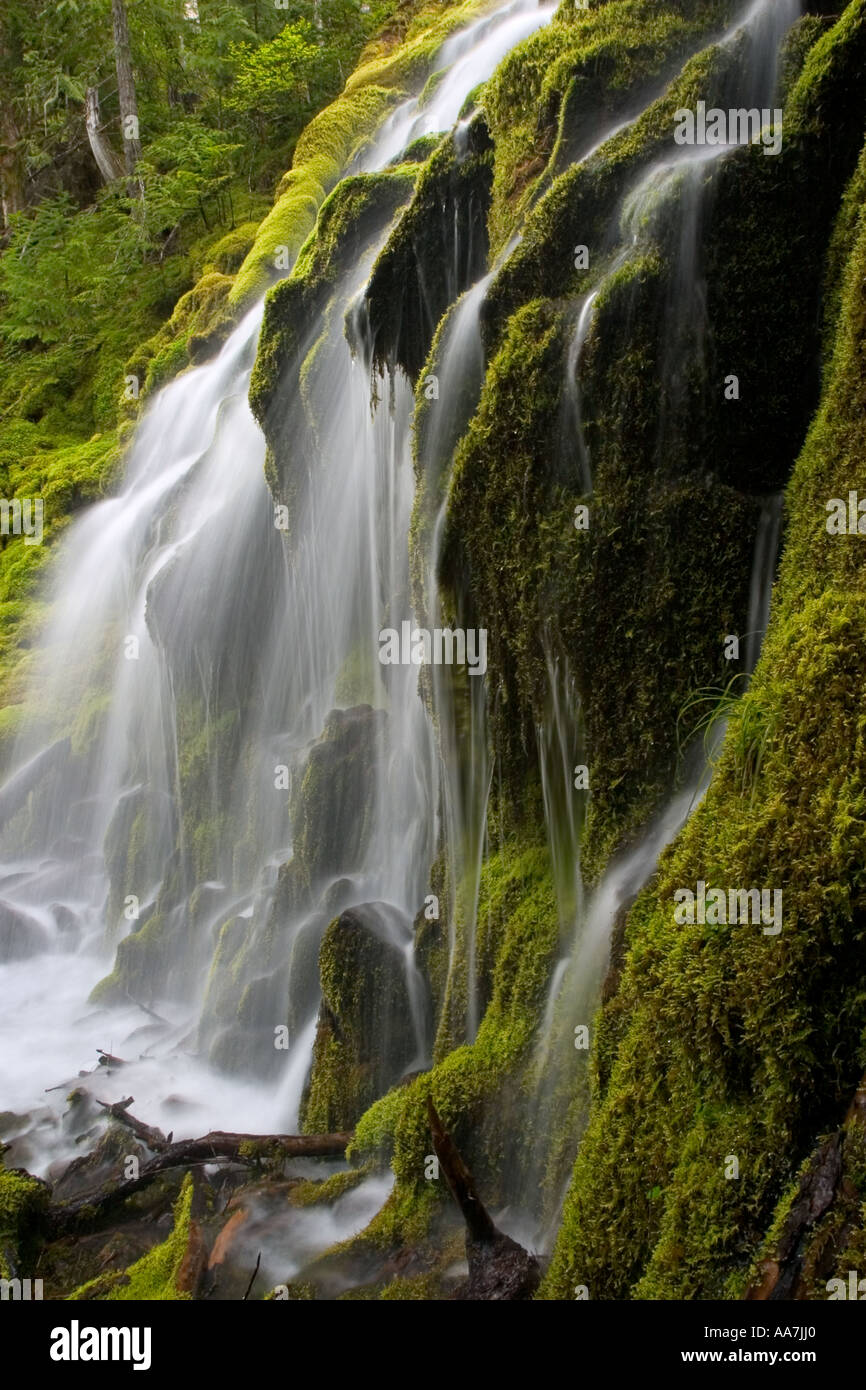 Waterfalls in rainforest Stock Photo - Alamy