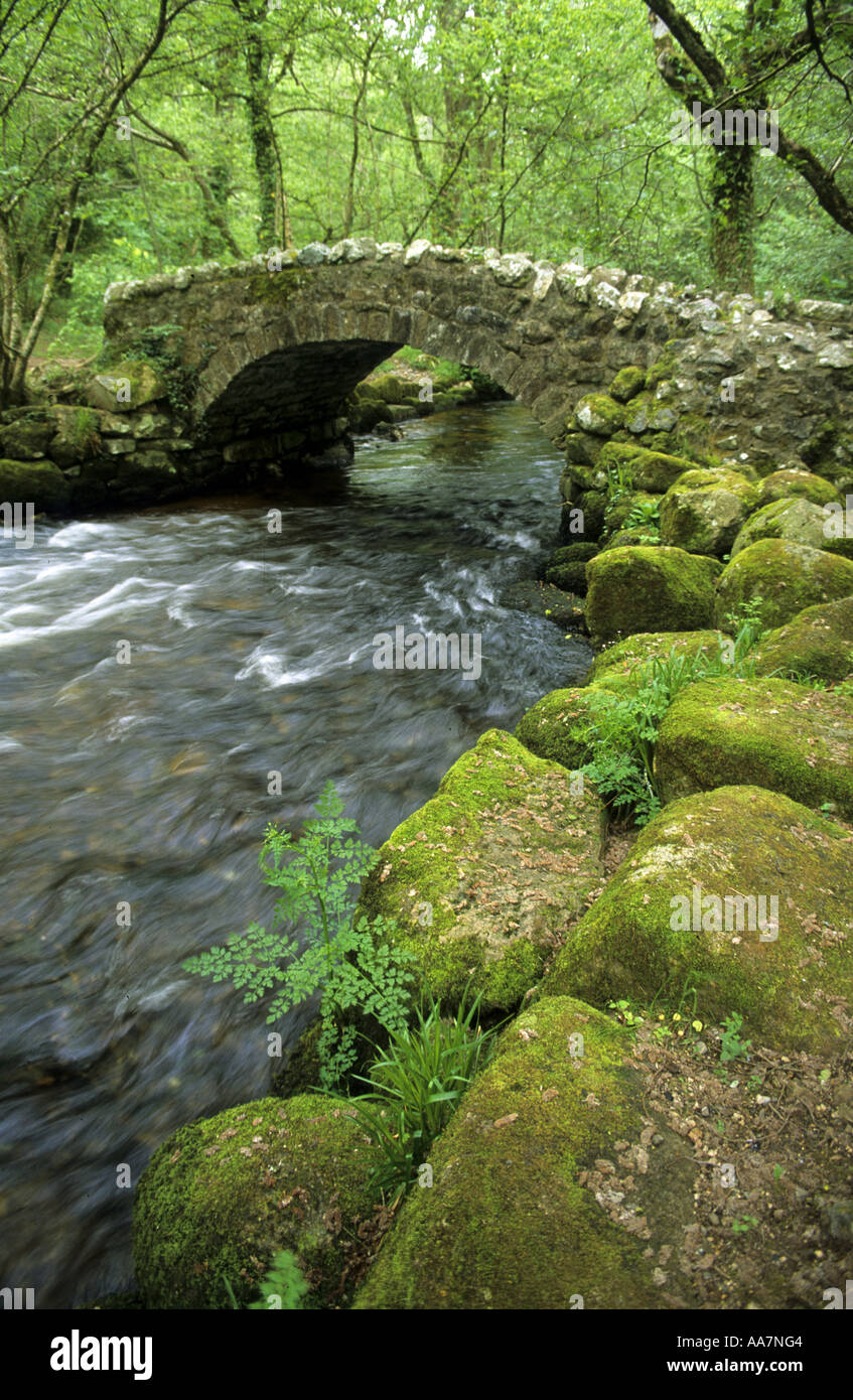 Bridge devon hi-res stock photography and images - Alamy