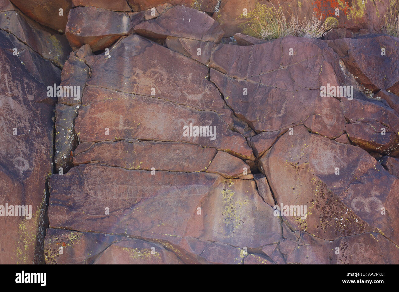 Petroglyphs california mojave hi-res stock photography and images - Alamy