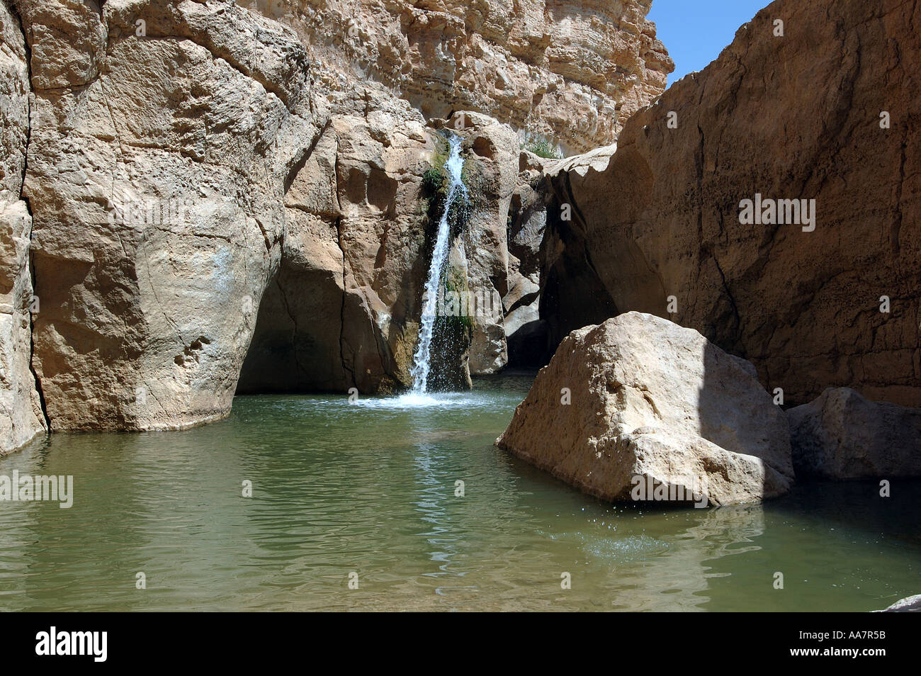 Oasis tunisie hi-res stock photography and images - Alamy