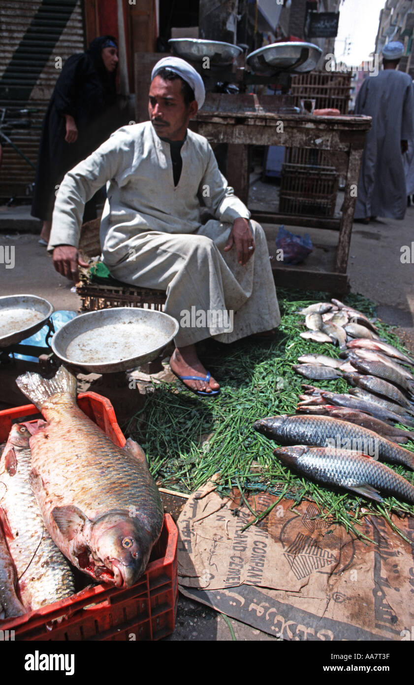 Egyptian fish seller at market Luxor Egypt Stock Photo - Alamy