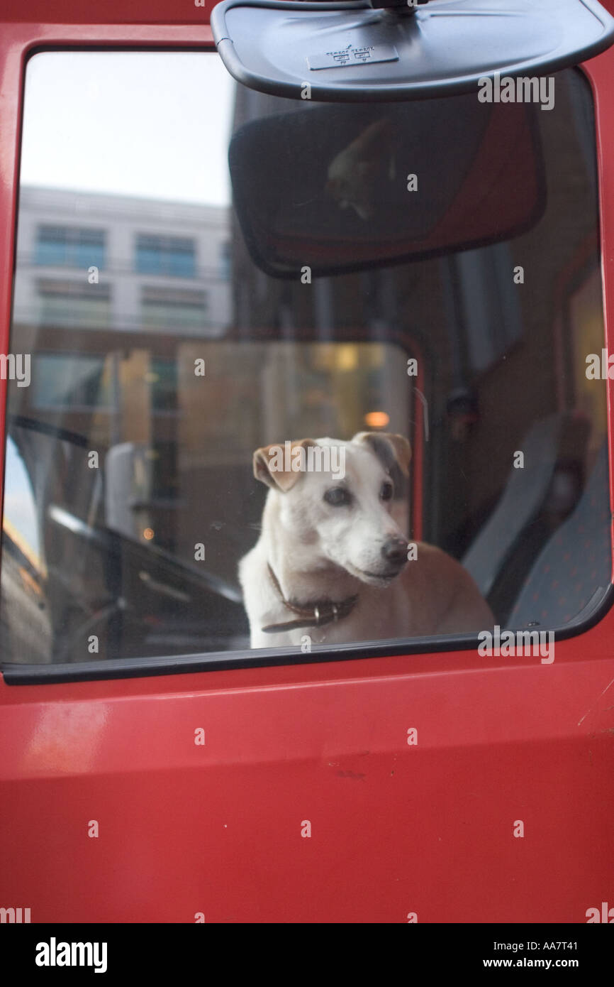 Dog in lorry hi-res stock photography and images - Alamy