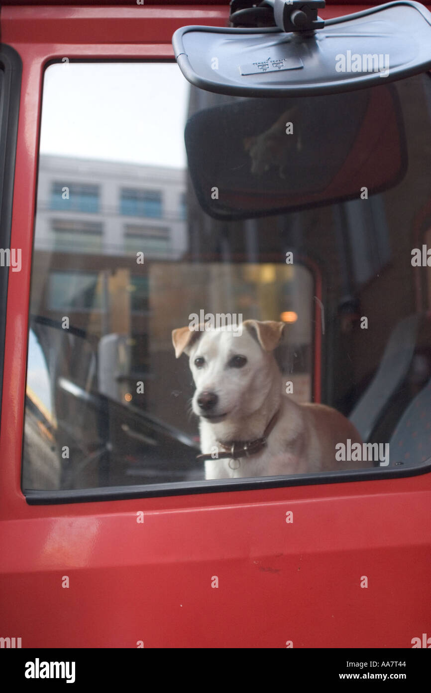 Dog in lorry hi-res stock photography and images - Alamy