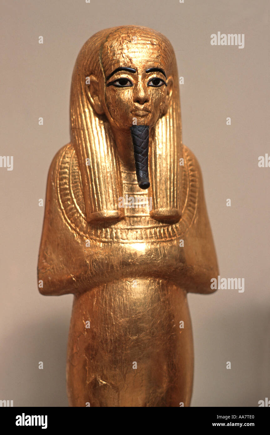 Ancient gilded statue Egyptian Museum Cairo Egypt Tutankhamun s ...