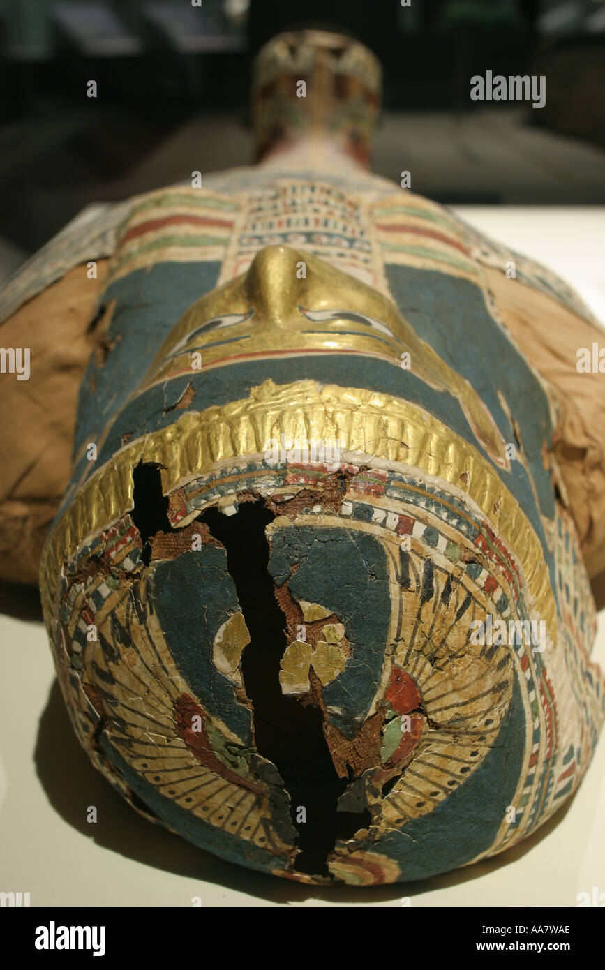 Alabama Anniston,Museum of Natural History,Egyptian mummy 250B.C.,adult ...