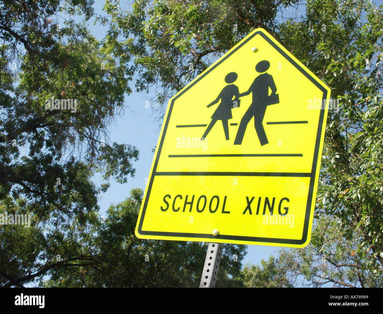 School crossing sign Stock Photo - Alamy