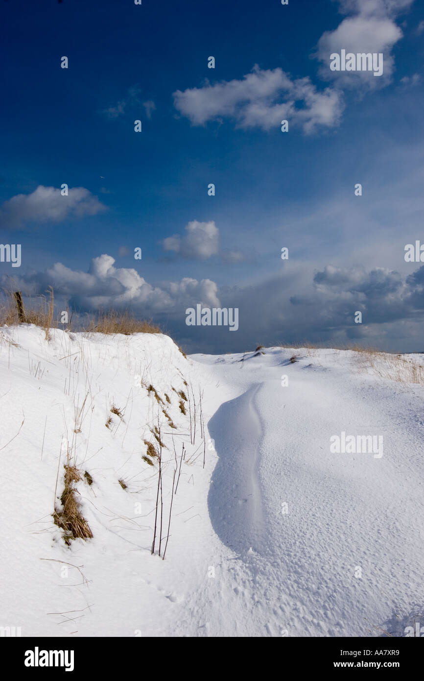 snow scene in Scotland Stock Photo - Alamy