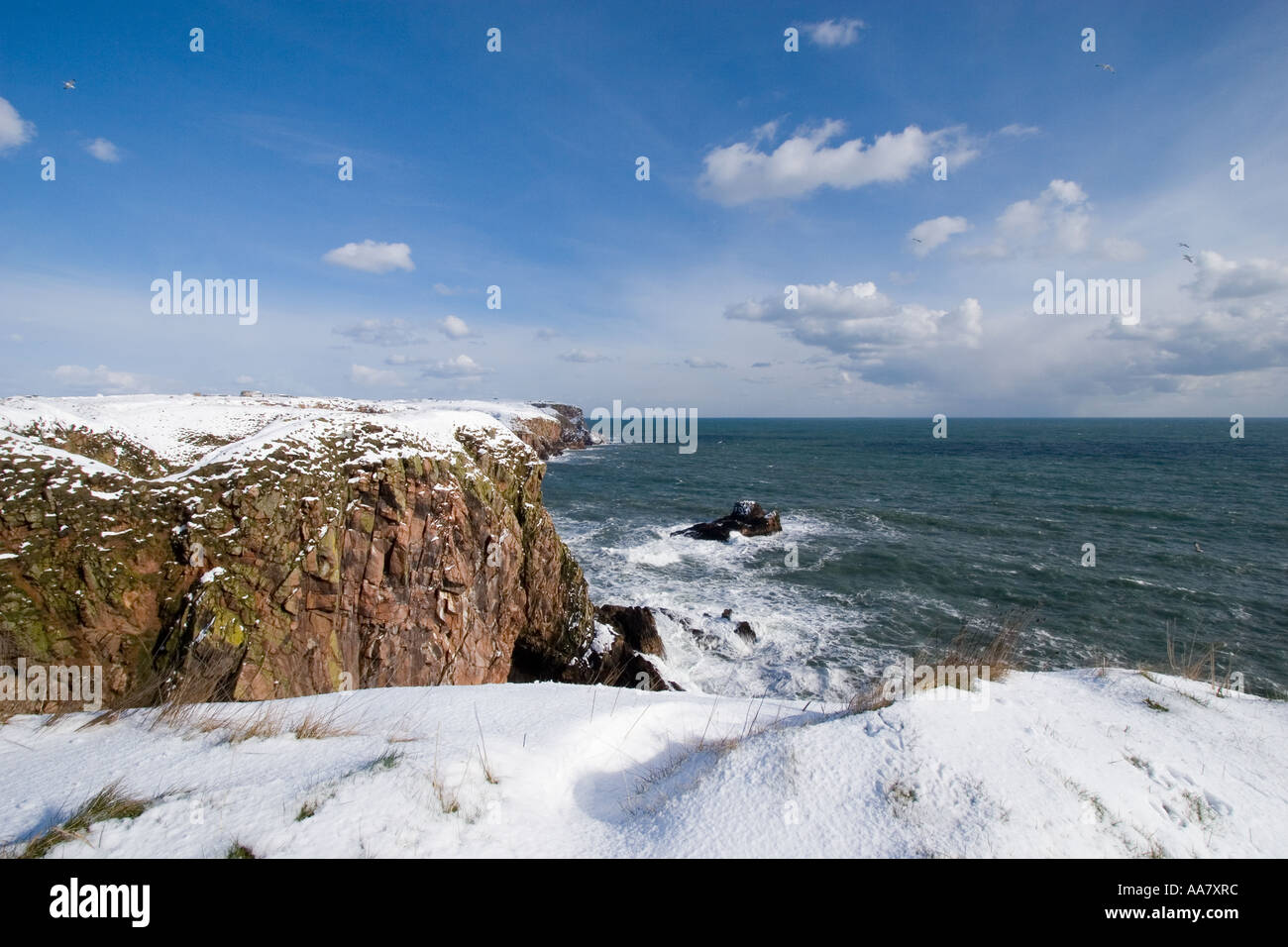 snow scene in Scotland Stock Photo - Alamy
