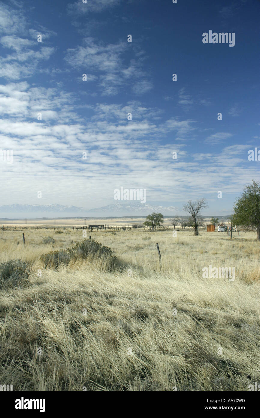 Yellow tall grass in on the plains of Utah Stock Photo - Alamy