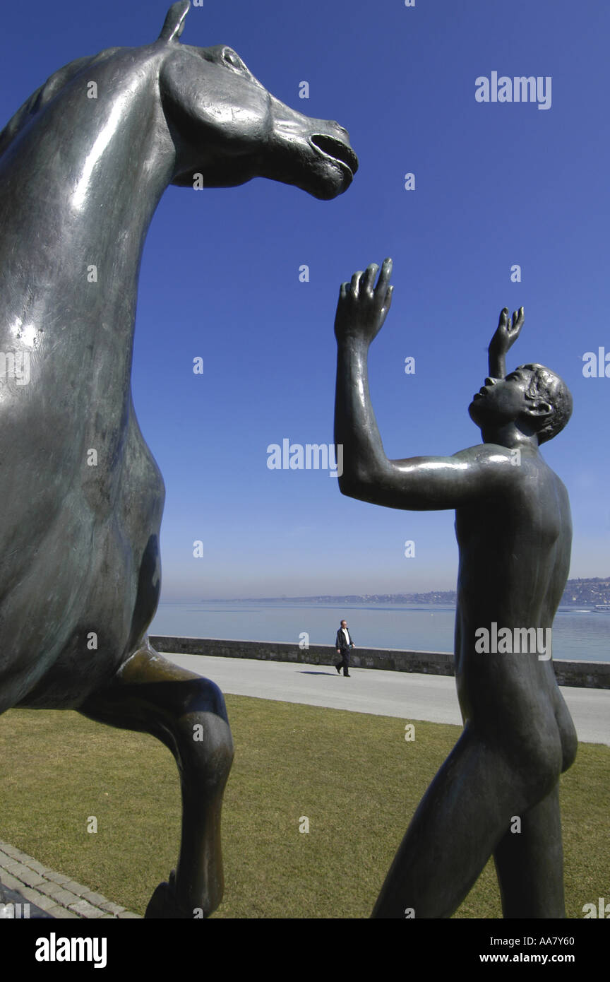 Harbour lake horse hi-res stock photography and images - Alamy