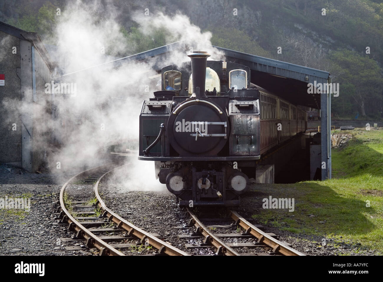 Narrow gauge steam train in North Wales on the Ffestiniog railway at ...