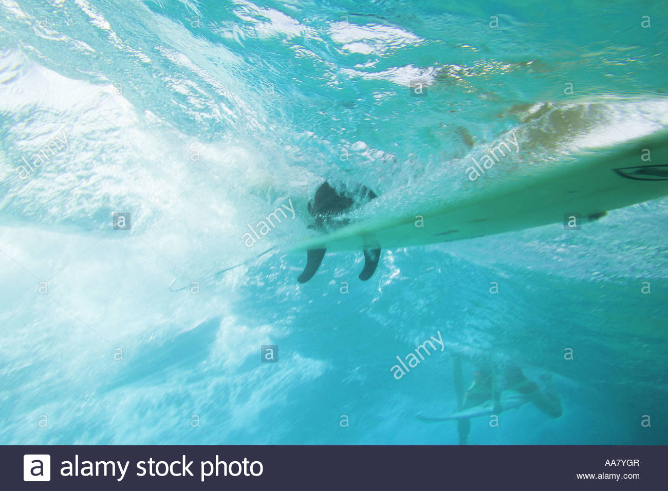 Shark Surfboard Stock Photos & Shark Surfboard Stock Images - Alamy