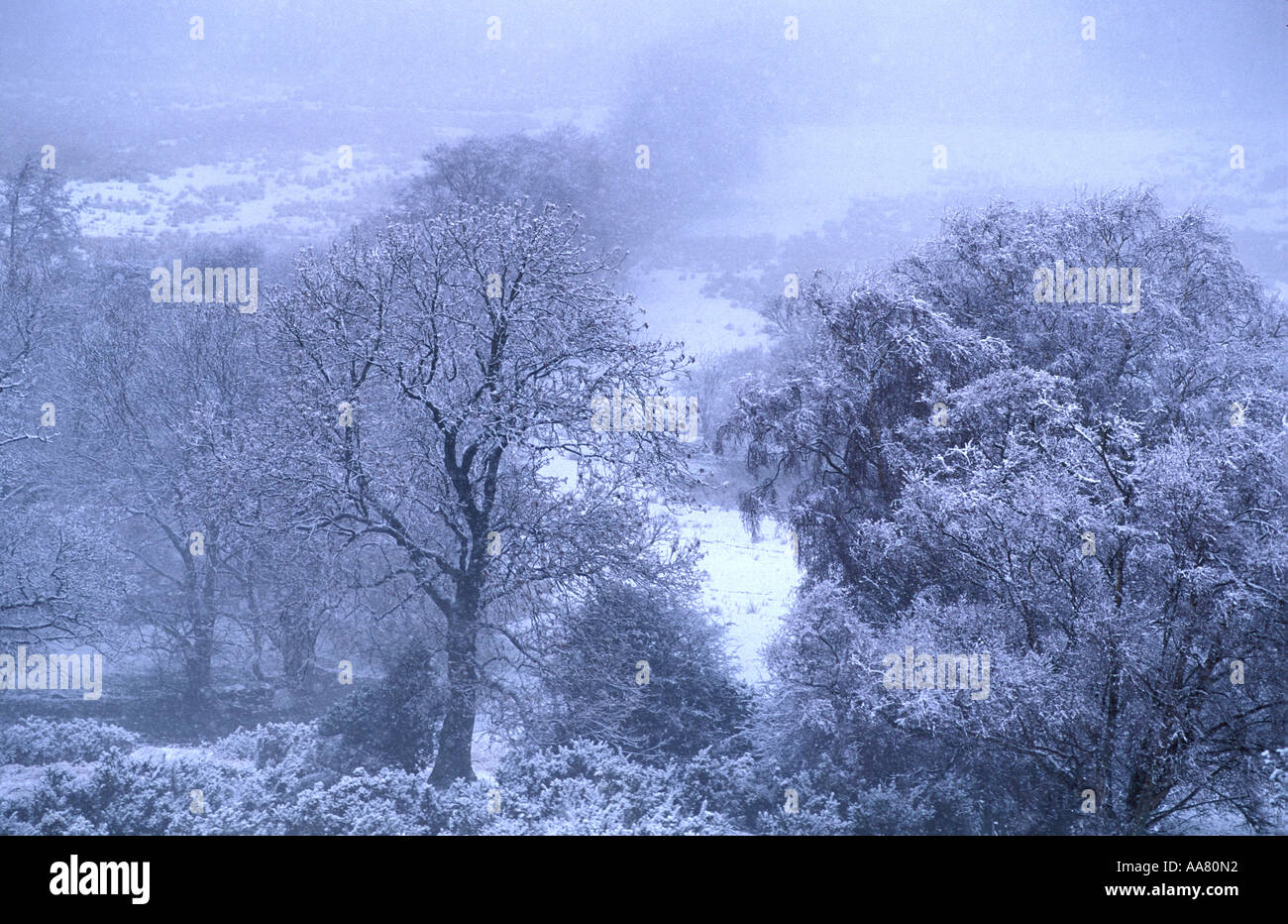 Welsh country scene High Resolution Stock Photography and Images - Alamy