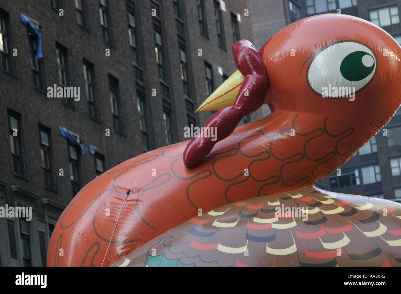 Thanksgiving parade turkey float hi-res stock photography and images ...