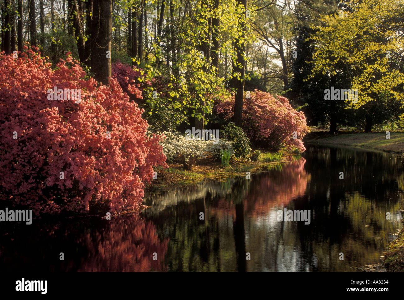 Callaway gardens pine mountain ga hi-res stock photography and images ...