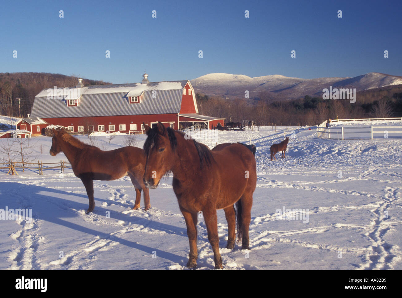 Vermont field in snow hi-res stock photography and images - Alamy