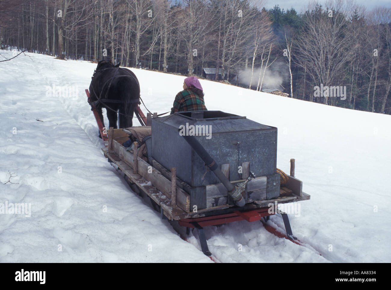 Horse sled farmer hi-res stock photography and images - Alamy