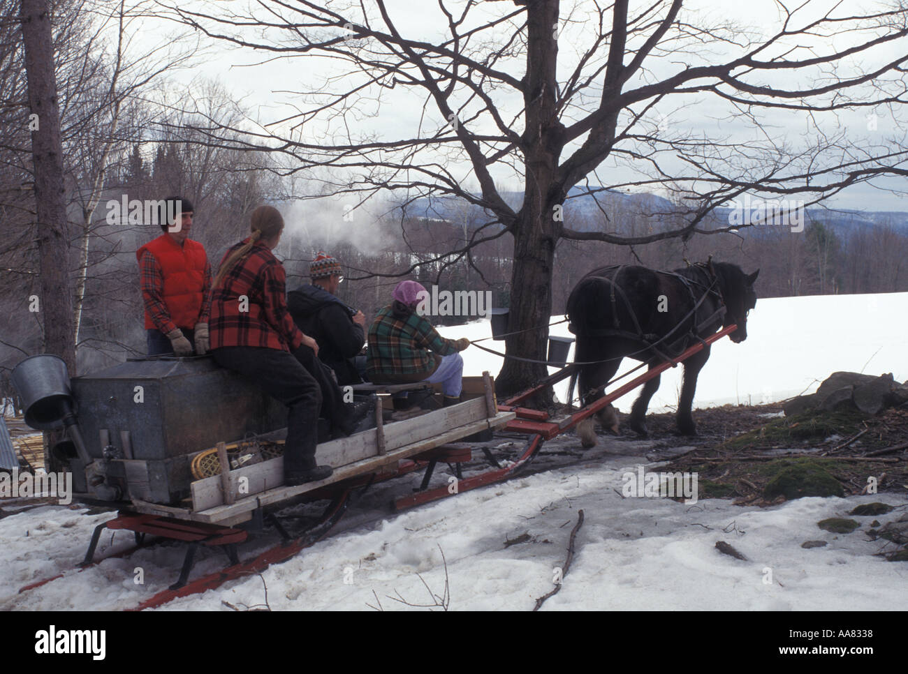 Maple sugaring hi-res stock photography and images - Alamy