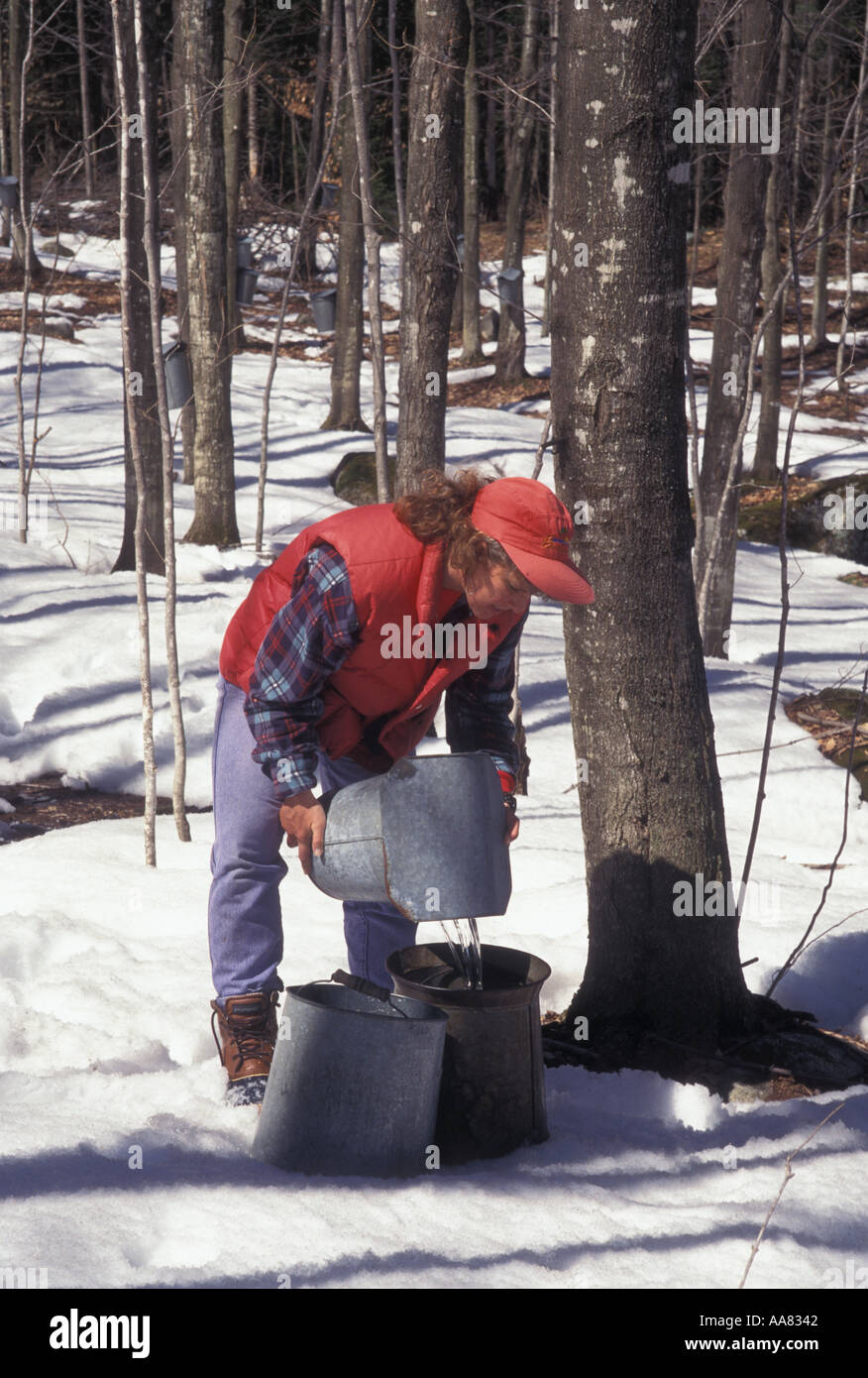 Vermont maple syrup buckets hi-res stock photography and images - Alamy