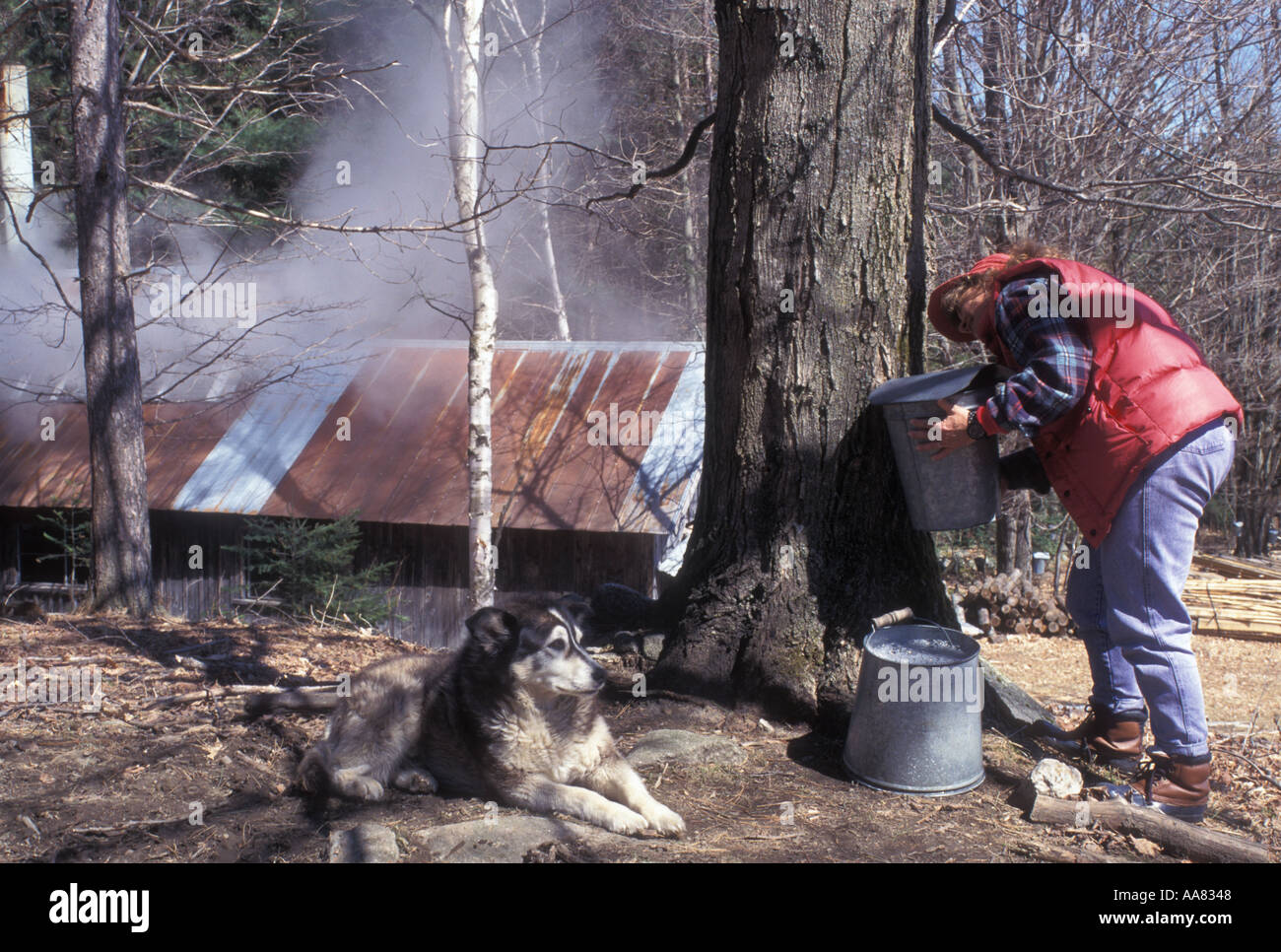 Cabot vt vermont hi-res stock photography and images - Alamy