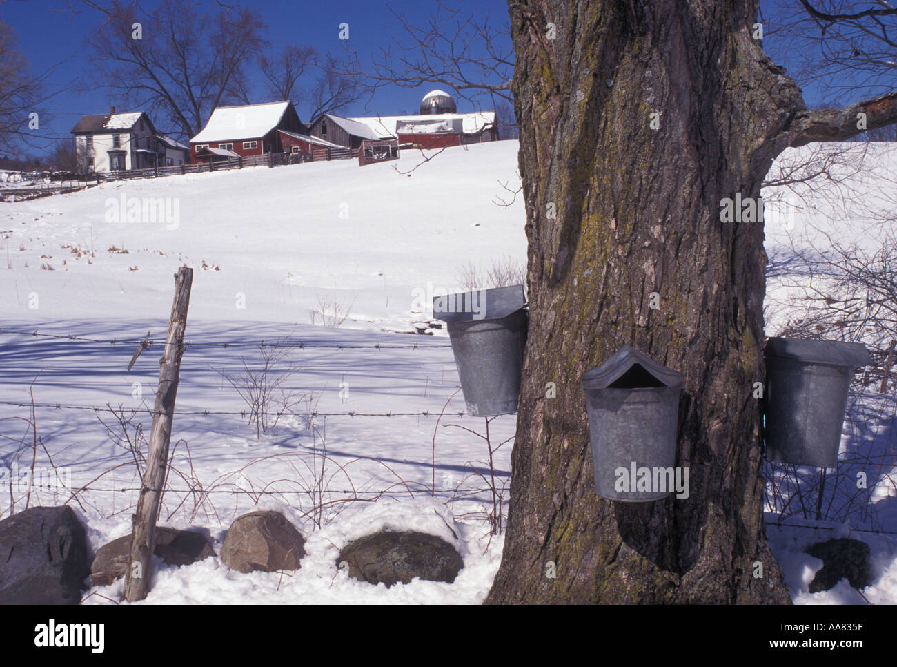 Vermont maple syrup buckets hi-res stock photography and images - Alamy