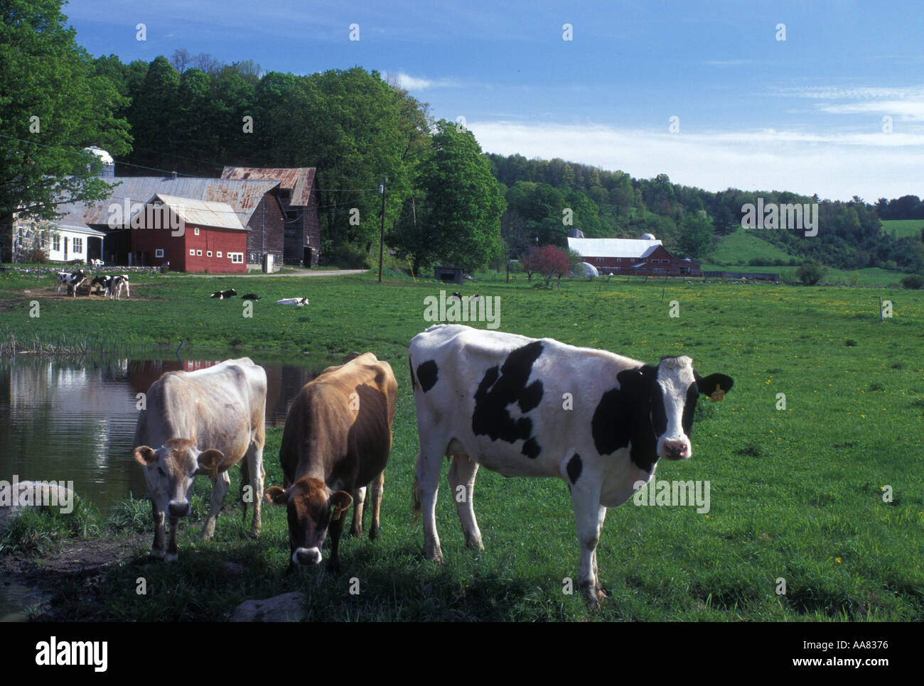 AJ4904, Vermont, VT, Springfield Stock Photo - Alamy