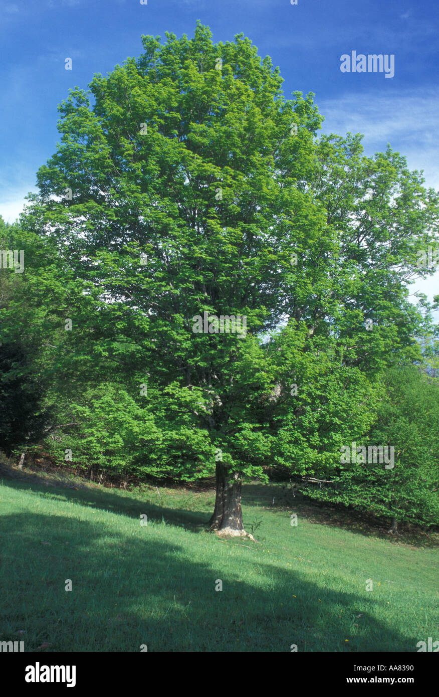 Reading vt vermont hi-res stock photography and images - Alamy