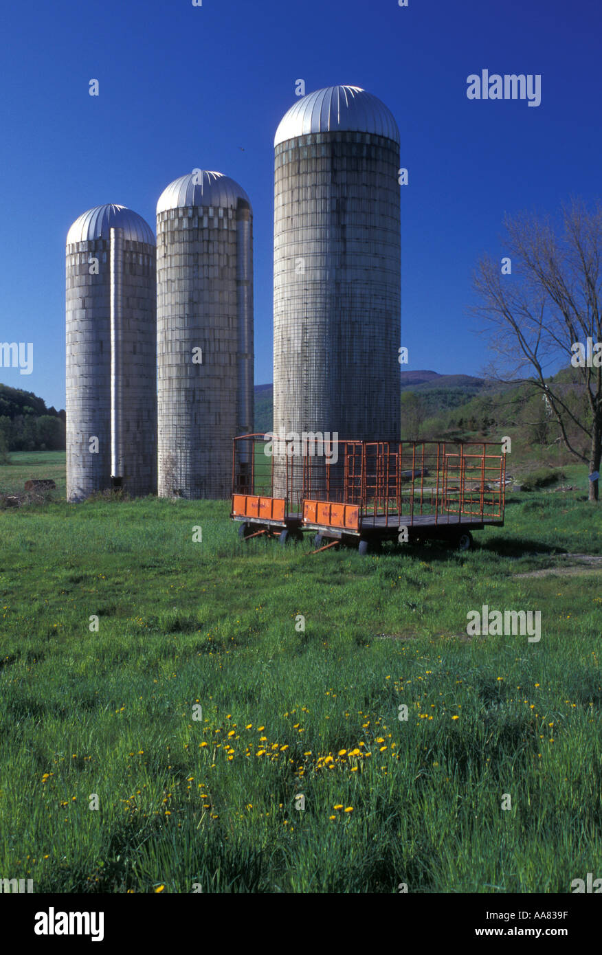 Pawlet hi-res stock photography and images - Alamy