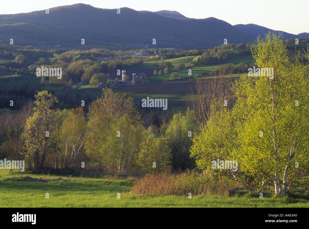 Countryside danby field hi-res stock photography and images - Alamy