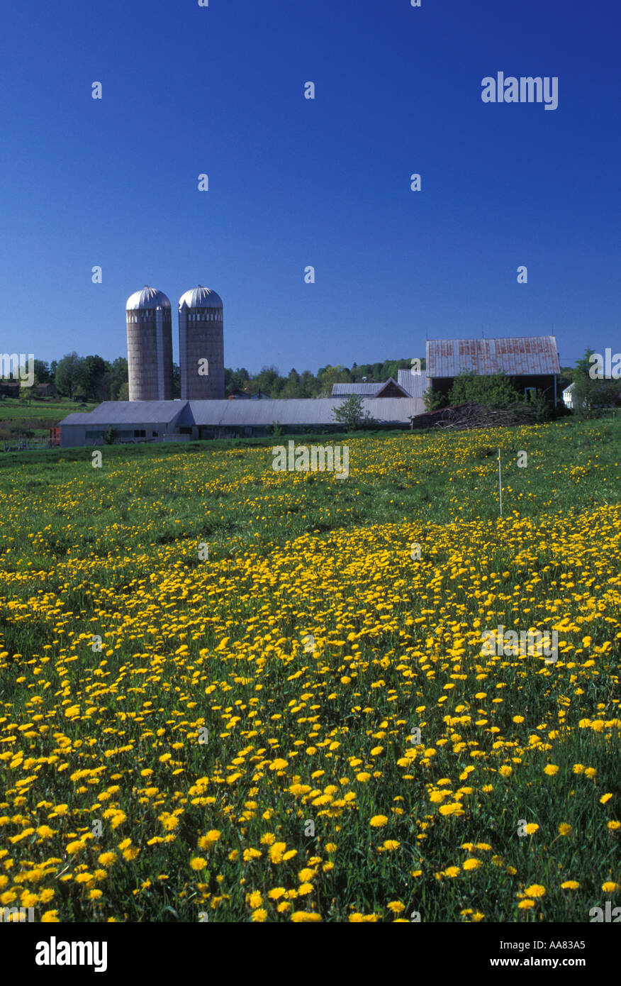 North central vermont hi-res stock photography and images - Alamy