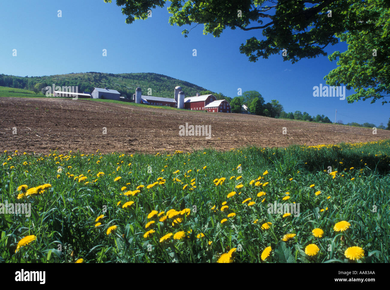 Barnet vt hi-res stock photography and images - Alamy