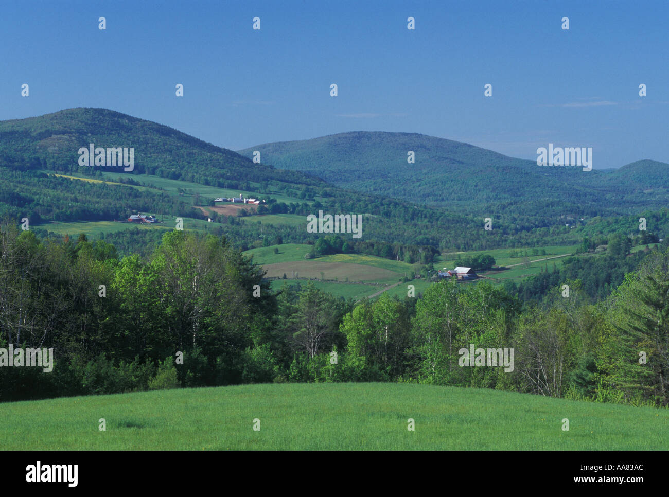 Barnet vt hi-res stock photography and images - Alamy