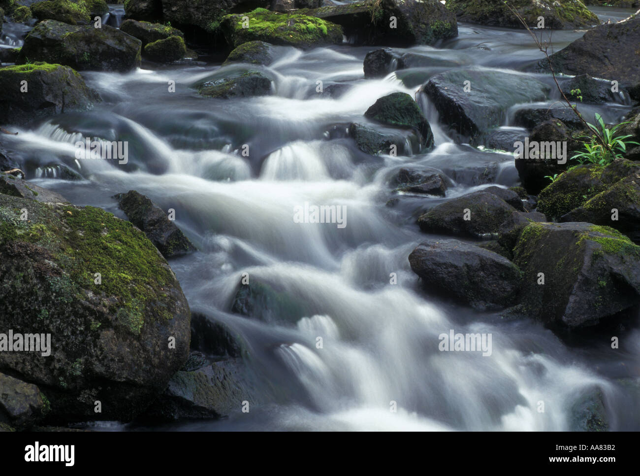 Barnet vt hi-res stock photography and images - Alamy