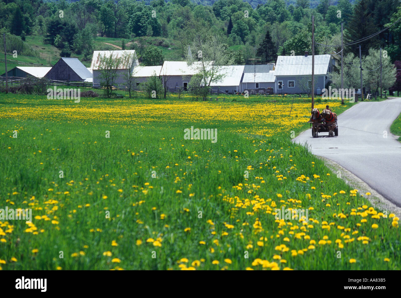 Strafford Vermont High Resolution Stock Photography and Images - Alamy