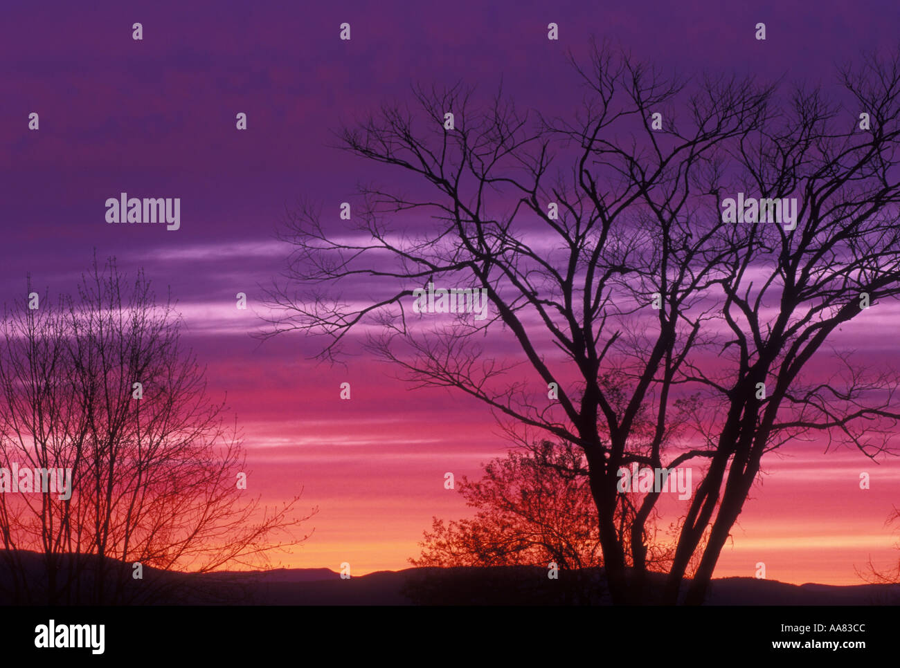 Randolph center vt hi-res stock photography and images - Alamy