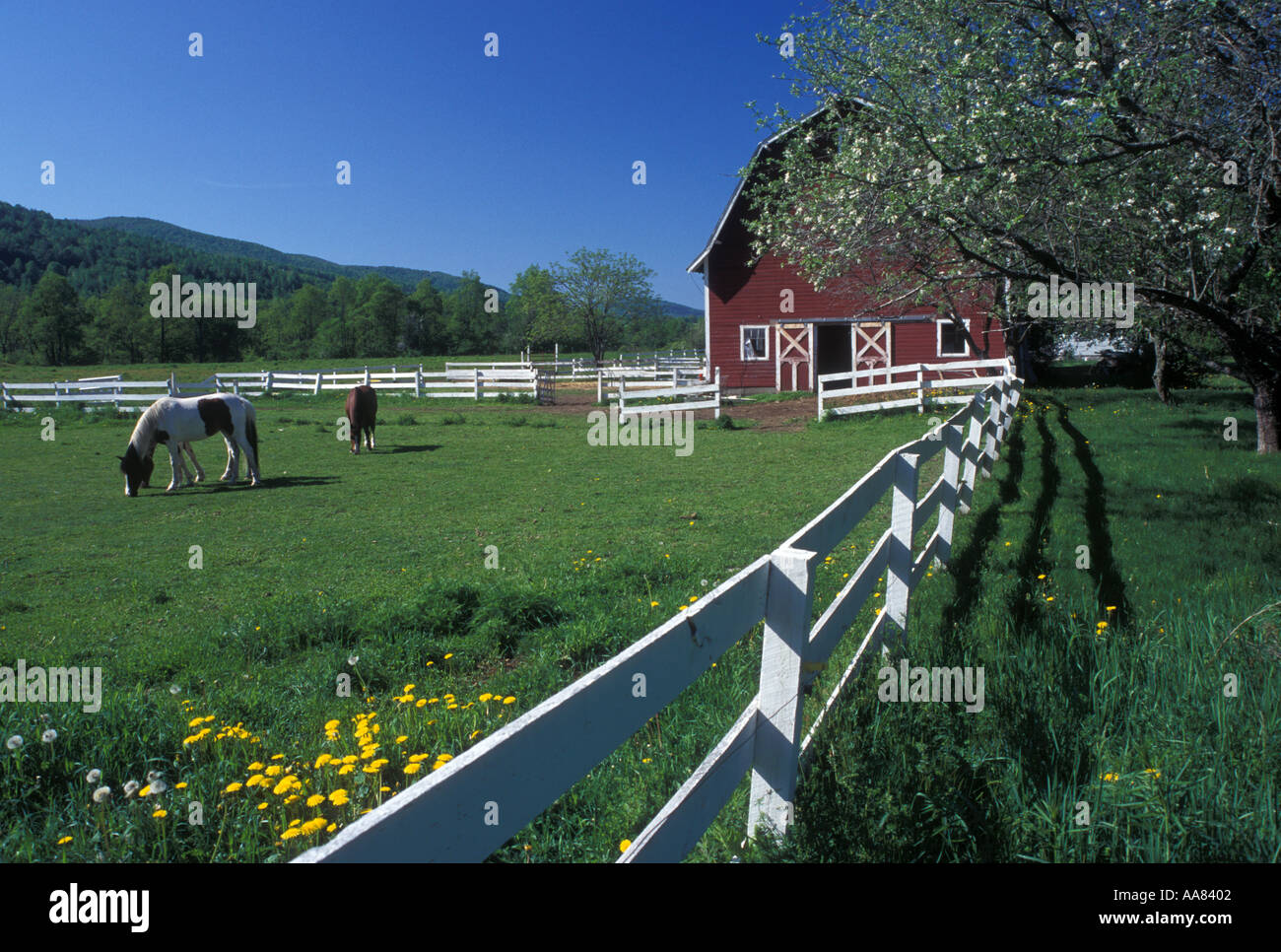 Berlin surrounded hi-res stock photography and images - Alamy