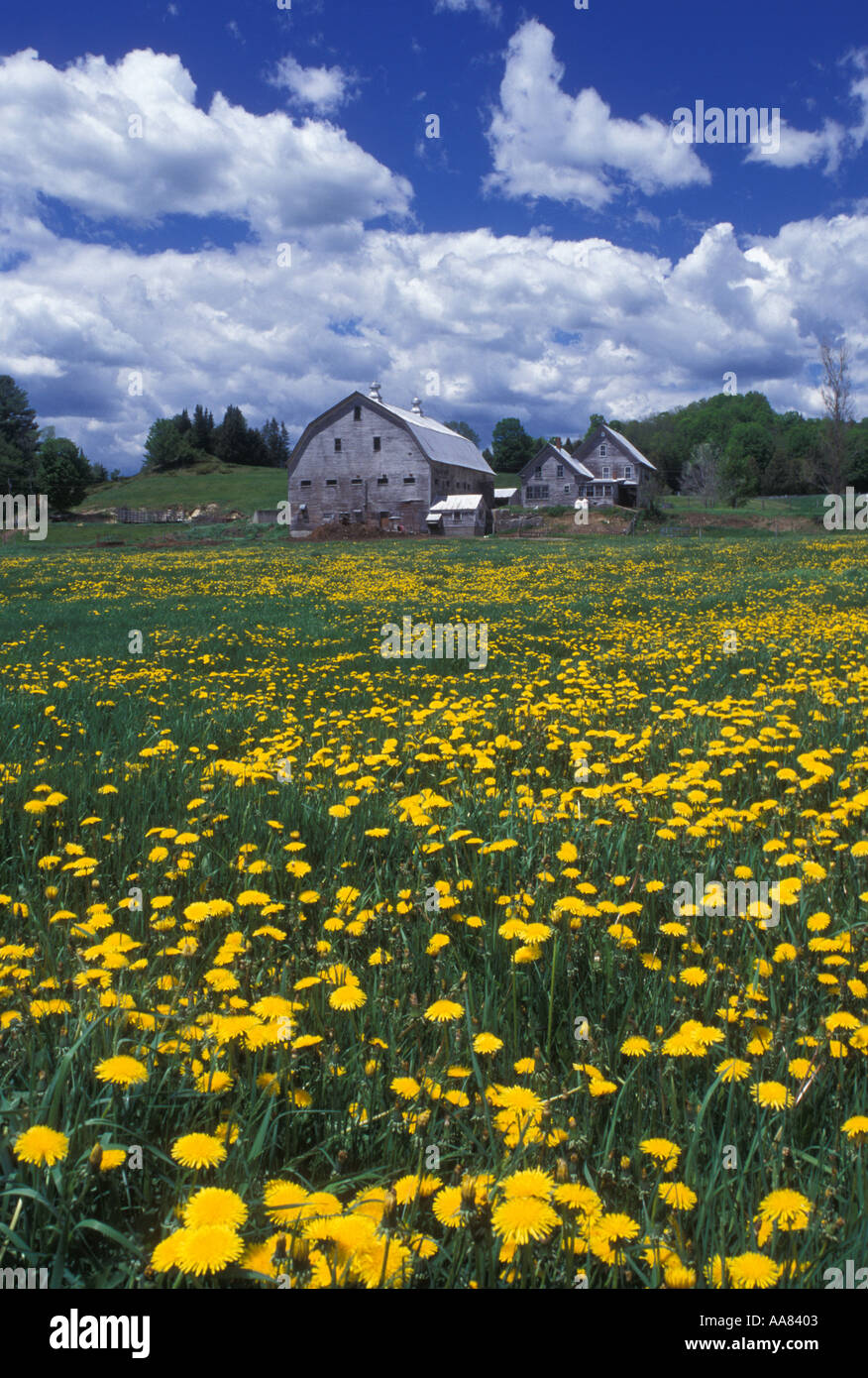 East central vermont hi-res stock photography and images - Alamy