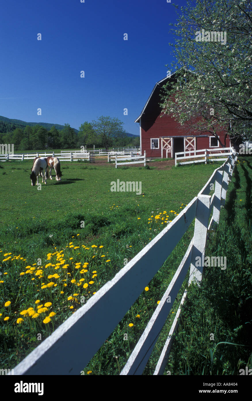 Berlin surrounded hi-res stock photography and images - Alamy