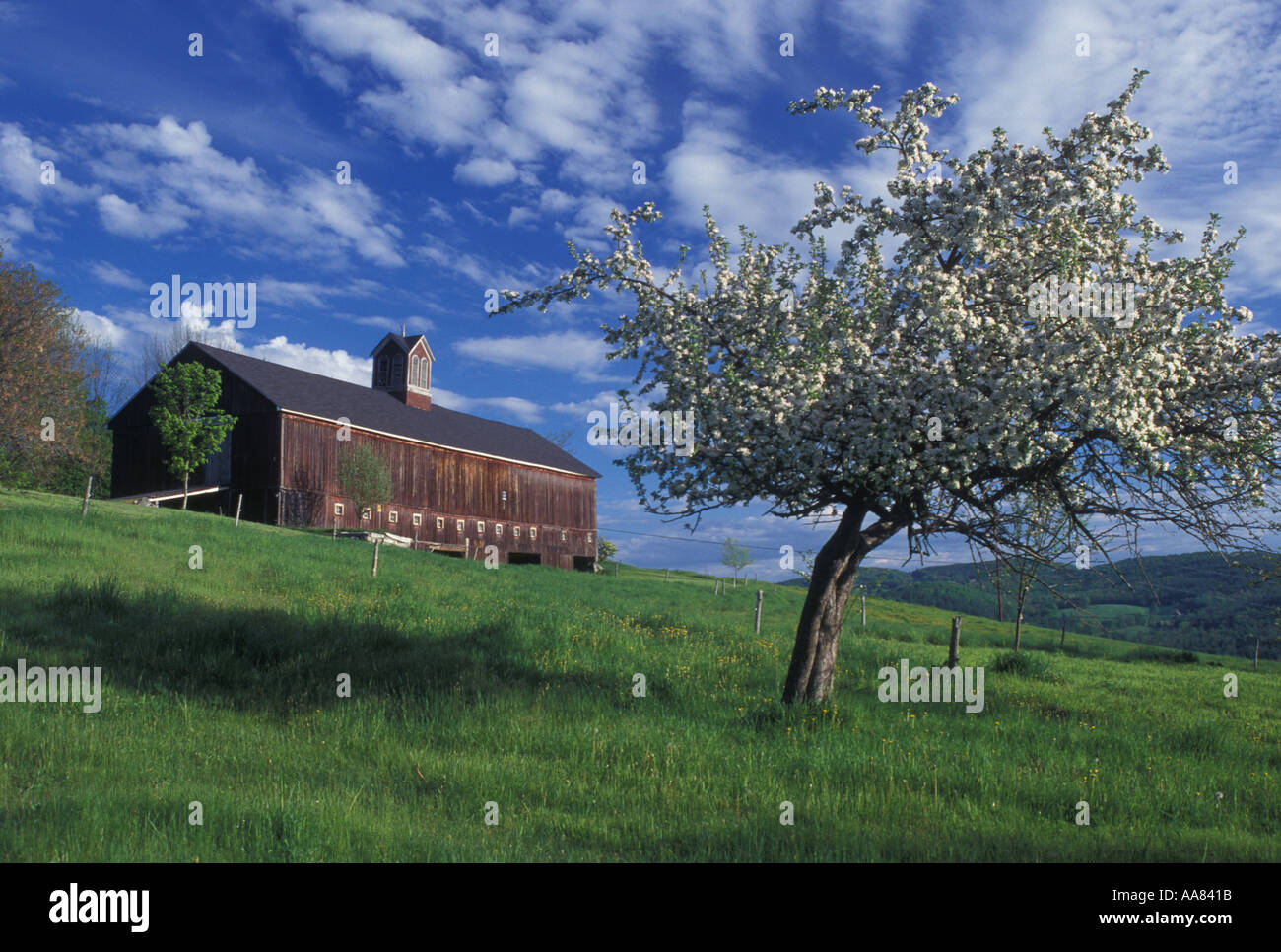 Barnet vt hi-res stock photography and images - Alamy