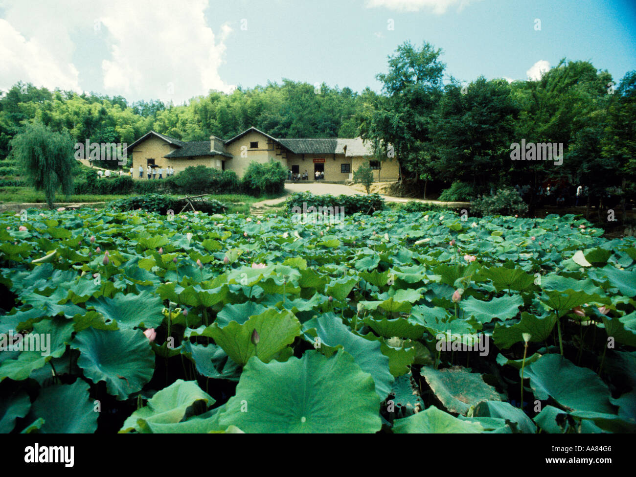 Shaoshan, Hunan, China, Birthplace of Mao Zedong Stock Photo - Alamy