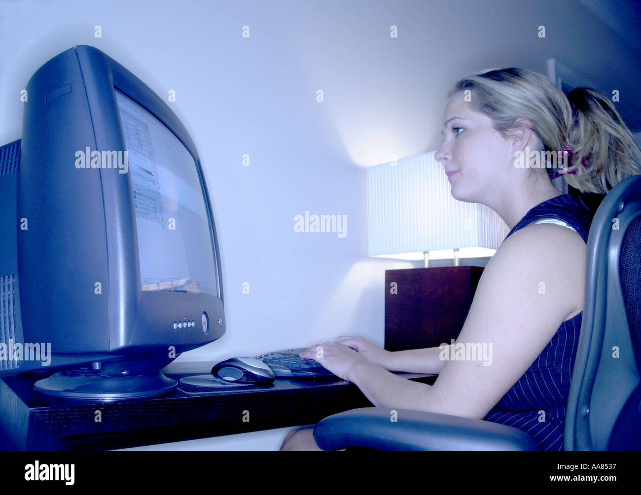 Horizontal color image of an adult female sitting a computer ...